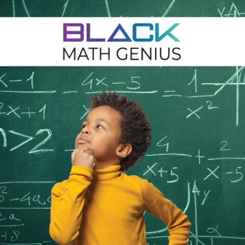 Discovering the Hidden Genius in Spider Webs: A Black Math Genius ...